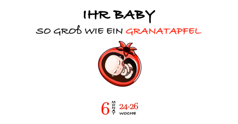 SSW 24 (Schwangerschaftswoche 24) - Schwangerschaft.at