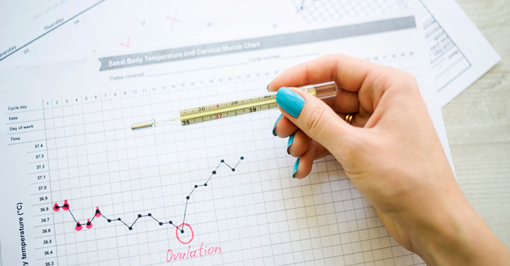 Temperaturmethode Archive - Schwangerschaft.at